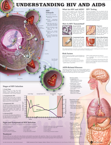 Understanding HIV and AIDS