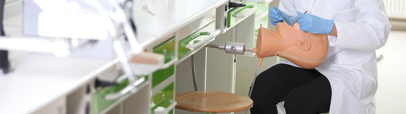 Human anatomy, dental and healthcare models for education | Candent