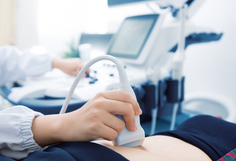 Human anatomy, dental and healthcare models for education | Candent